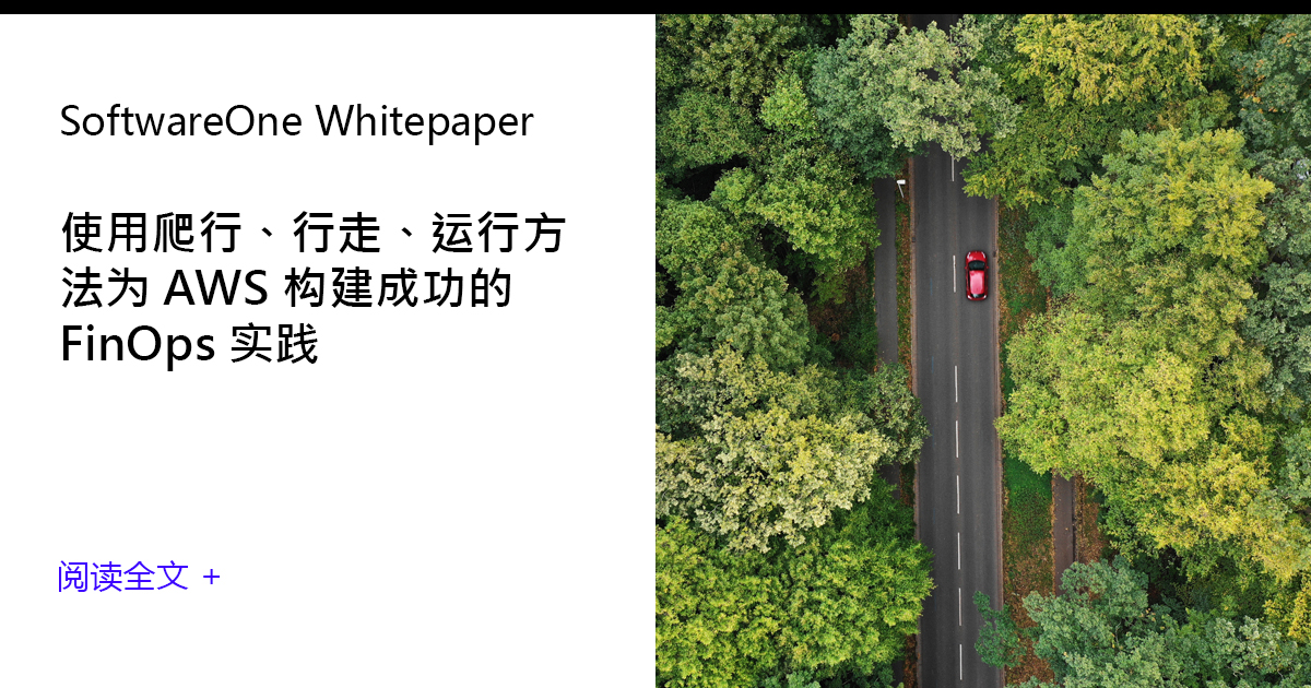 建立成功的 FinOps 实践 | SoftwareOne whitepaper