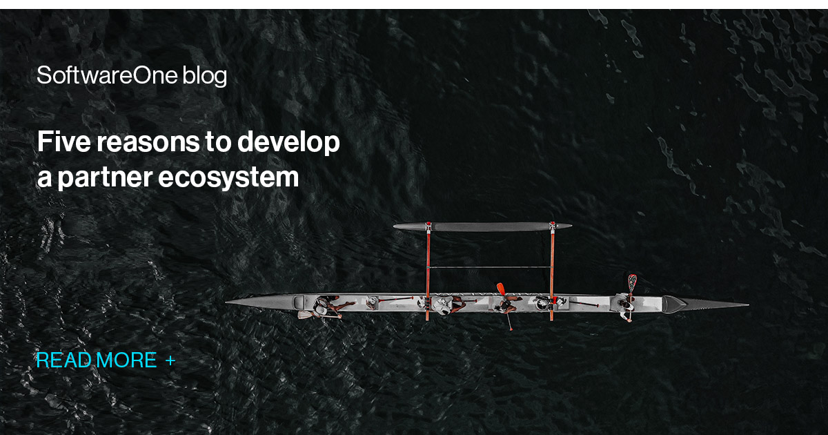 5 reasons to develop a partner ecosystem | SoftwareOne blog