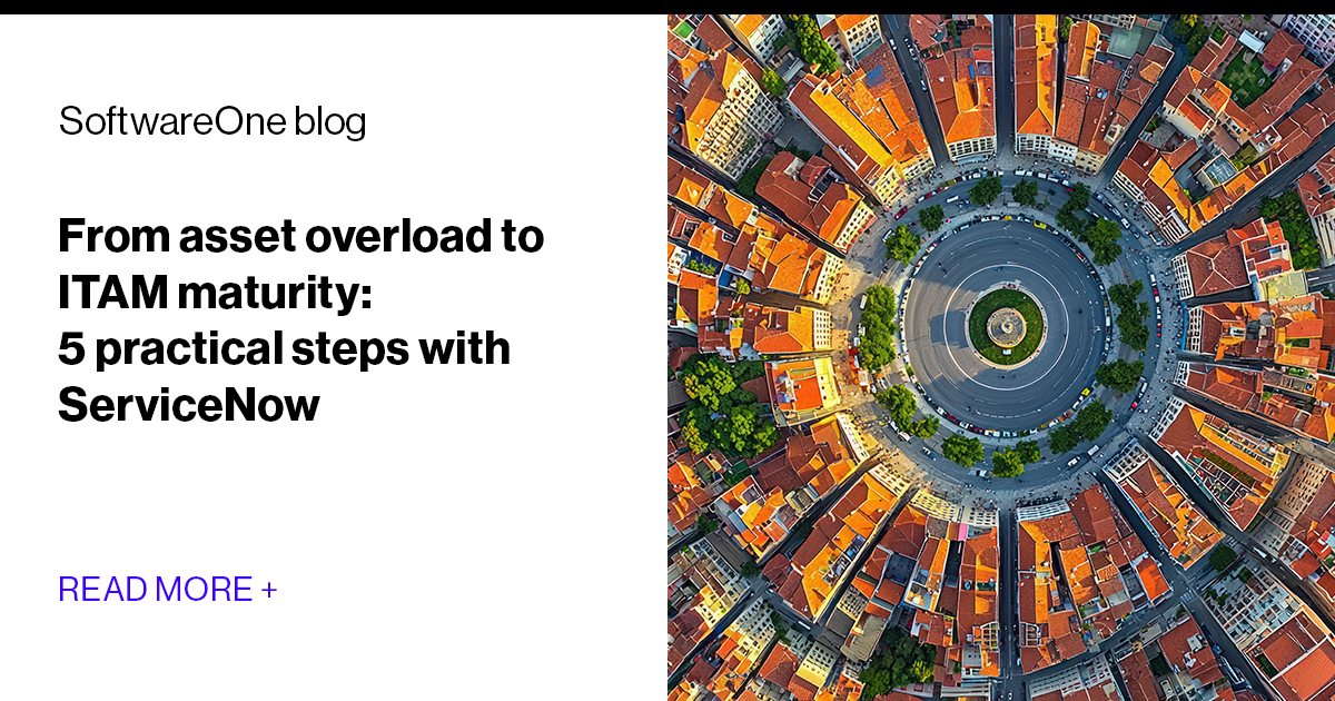 From asset overload to ITAM maturity: 5 practical steps | SoftwareOne blog