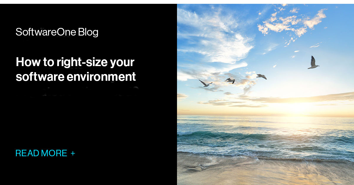 How to right-size your software environment | SoftwareOne Blog