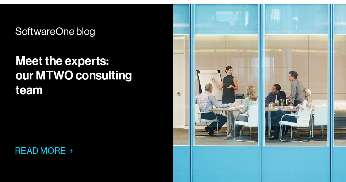 Meet the experts: our MTWO consulting team | SoftwareOne blog