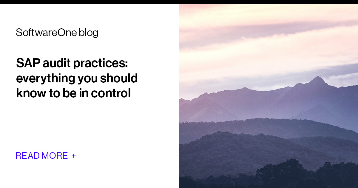 SAP audit practices – everything you should know to be in control ...