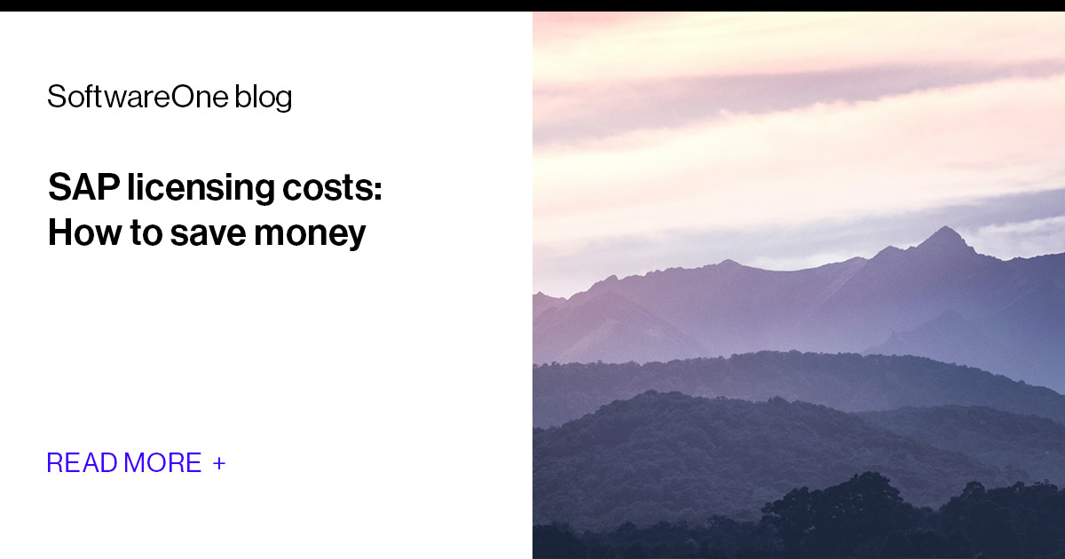 SAP licensing costs: How to save money | SoftwareOne blog