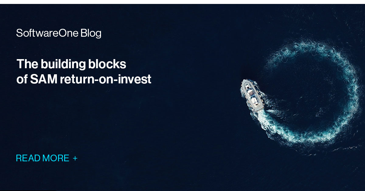The building blocks of - SAM ROI | SoftwareOne Blog