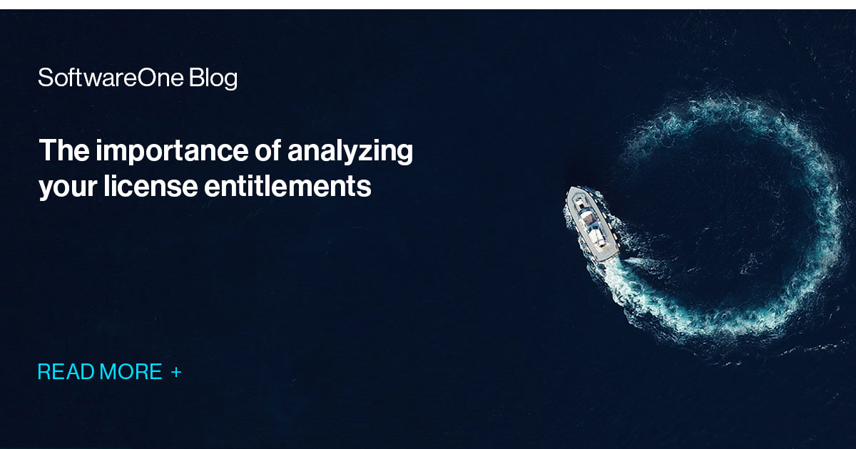 The importance of analyzing your license entitlements | SoftwareOne Blog
