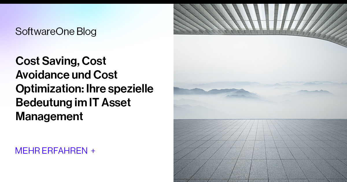 Cost Saving, Cost Avoidance und Cost Optimization | SoftwareOne Blog