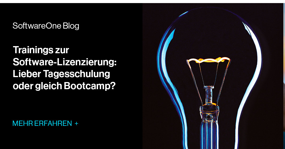 Software-Lizenzierung: Tagesschulung oder Bootcamp?