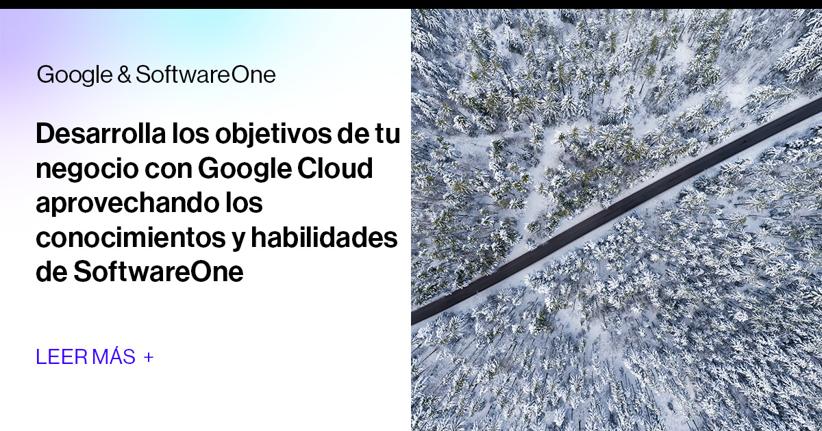 Google | SoftwareOne