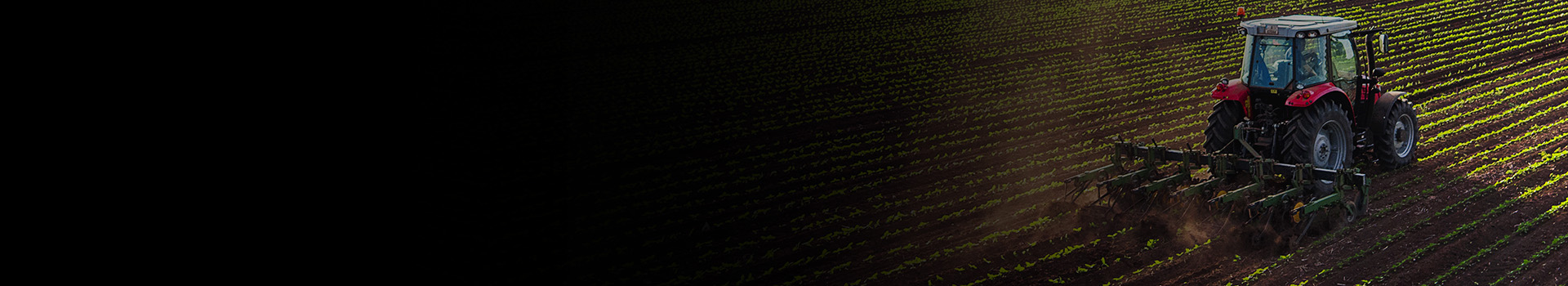 SAP S/4HANA Conversion Services | SoftwareOne