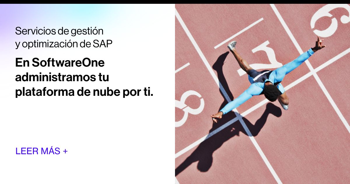 SAP Servicios de optimización y gestión | SoftwareOne