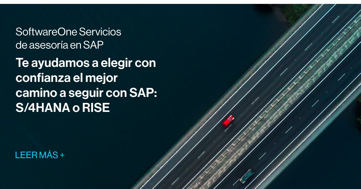 SoftwareOne Servicios de asesoría en SAP | SoftwareOne