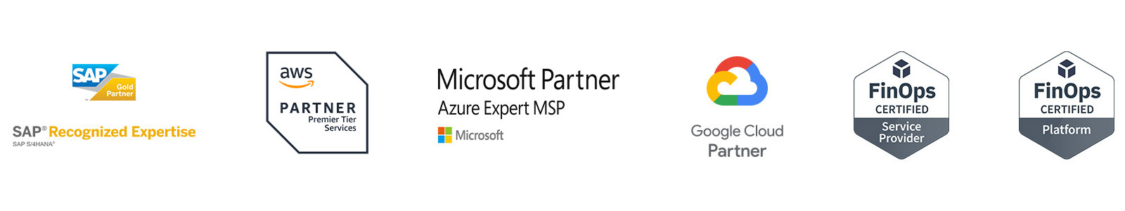 SAP Optimisation & Management Services | SoftwareOne